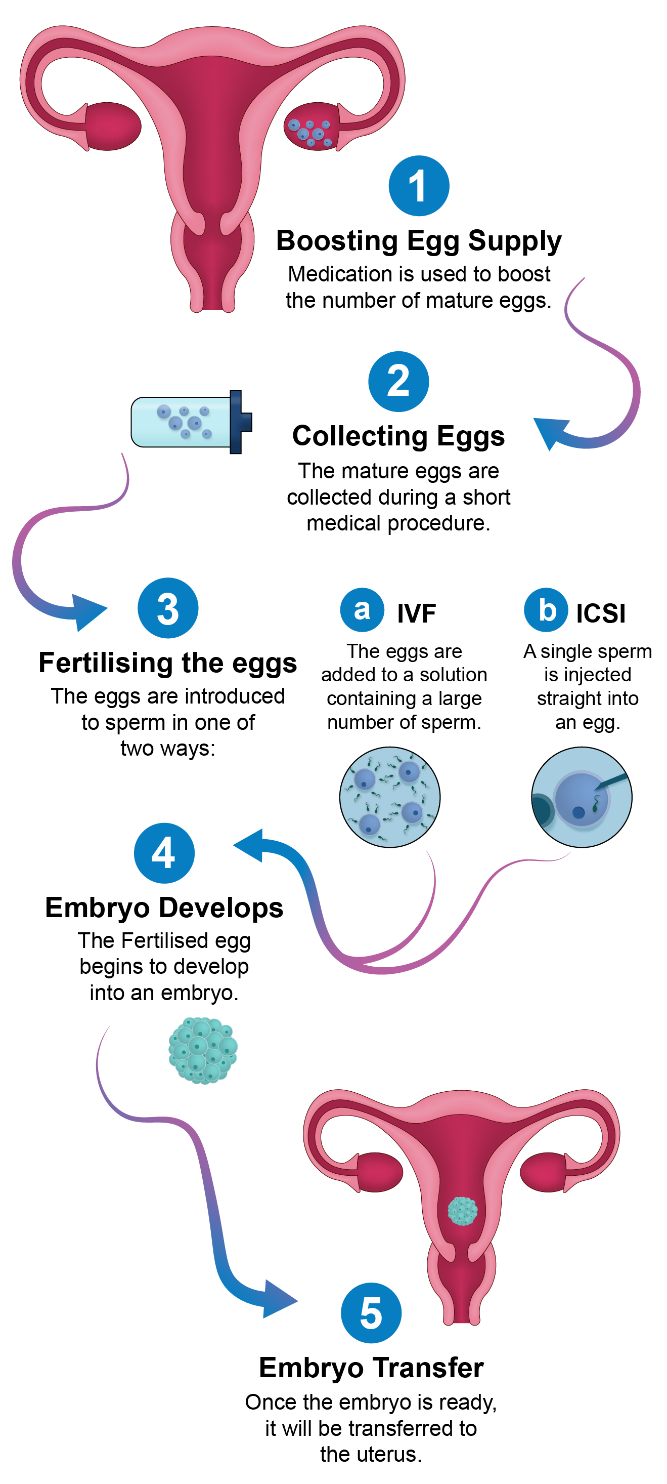 Fertility - Mid and South Essex Integrated Care System